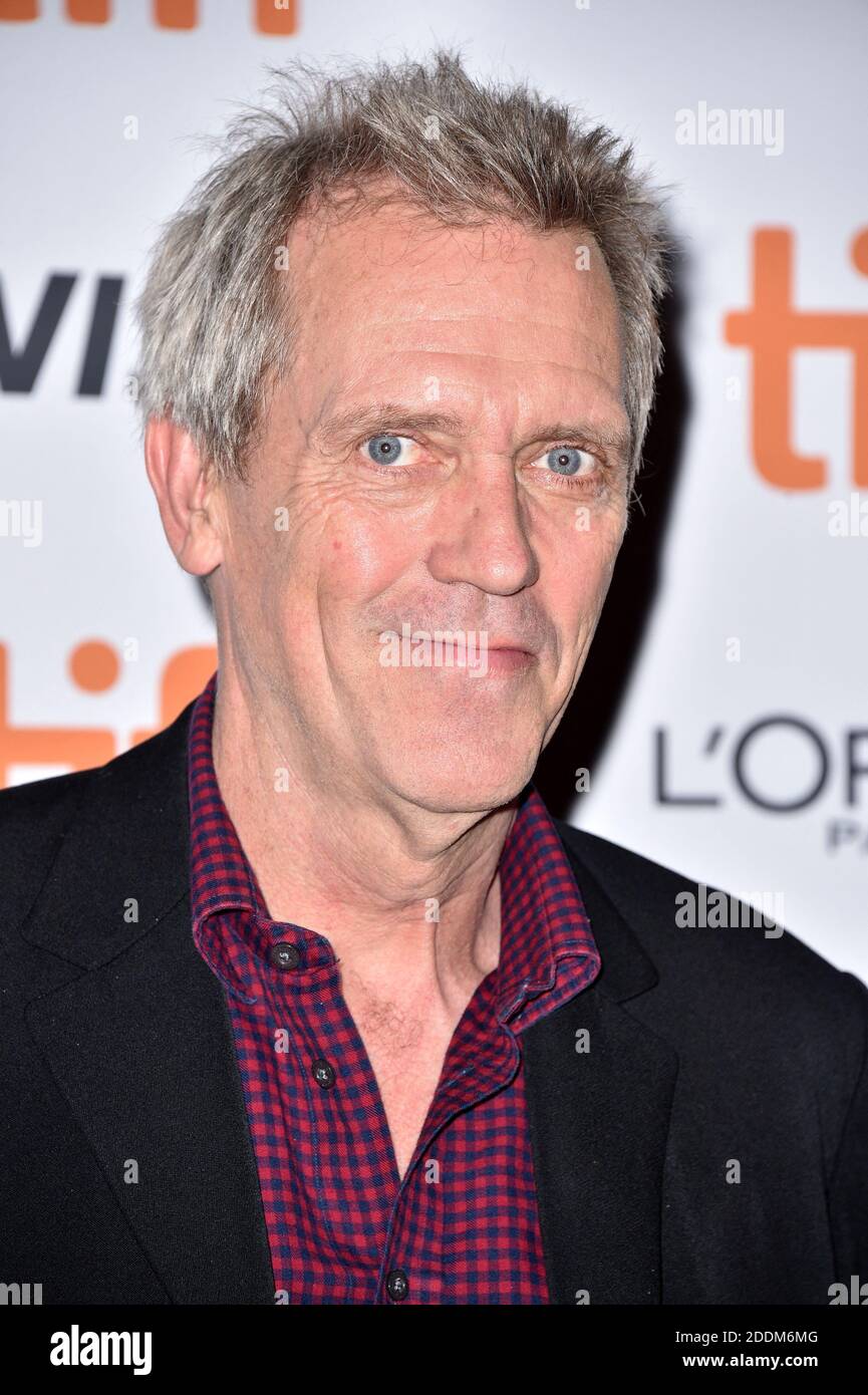 David P Laurie