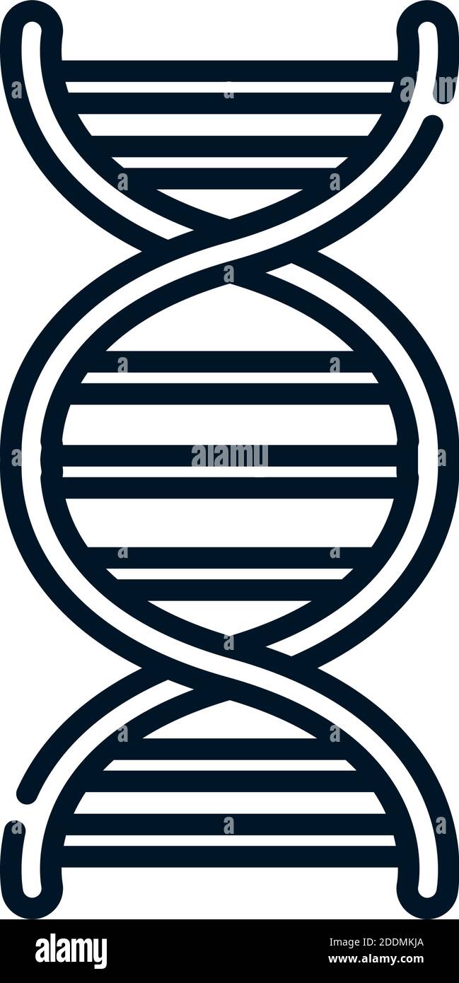 health medical dna molecule genetic vector illustration line icon Stock ...
