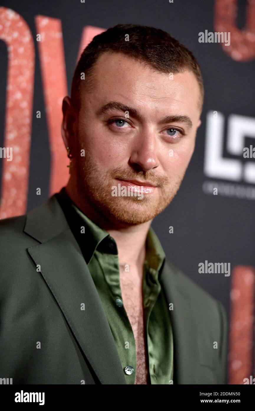 Sam Smith attends the LA Premiere Of Roadside Attraction's "Judy" at ...