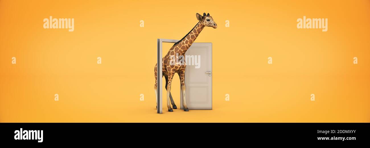 giraffe walks through the open door. 3d rendering Stock Photo - Alamy