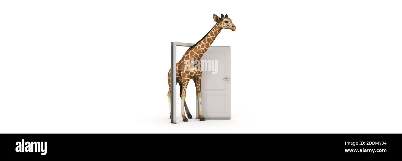 Giraffe at door hi-res stock photography and images - Alamy