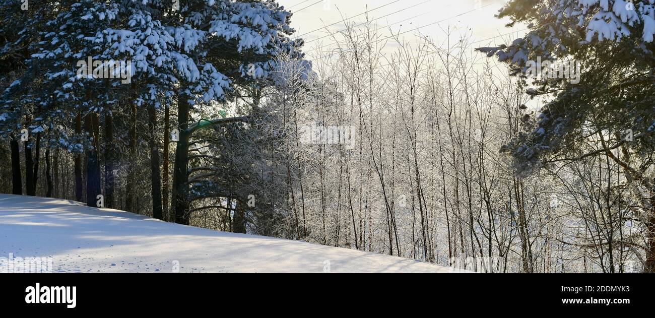 Stretch to the sky hi-res stock photography and images - Alamy