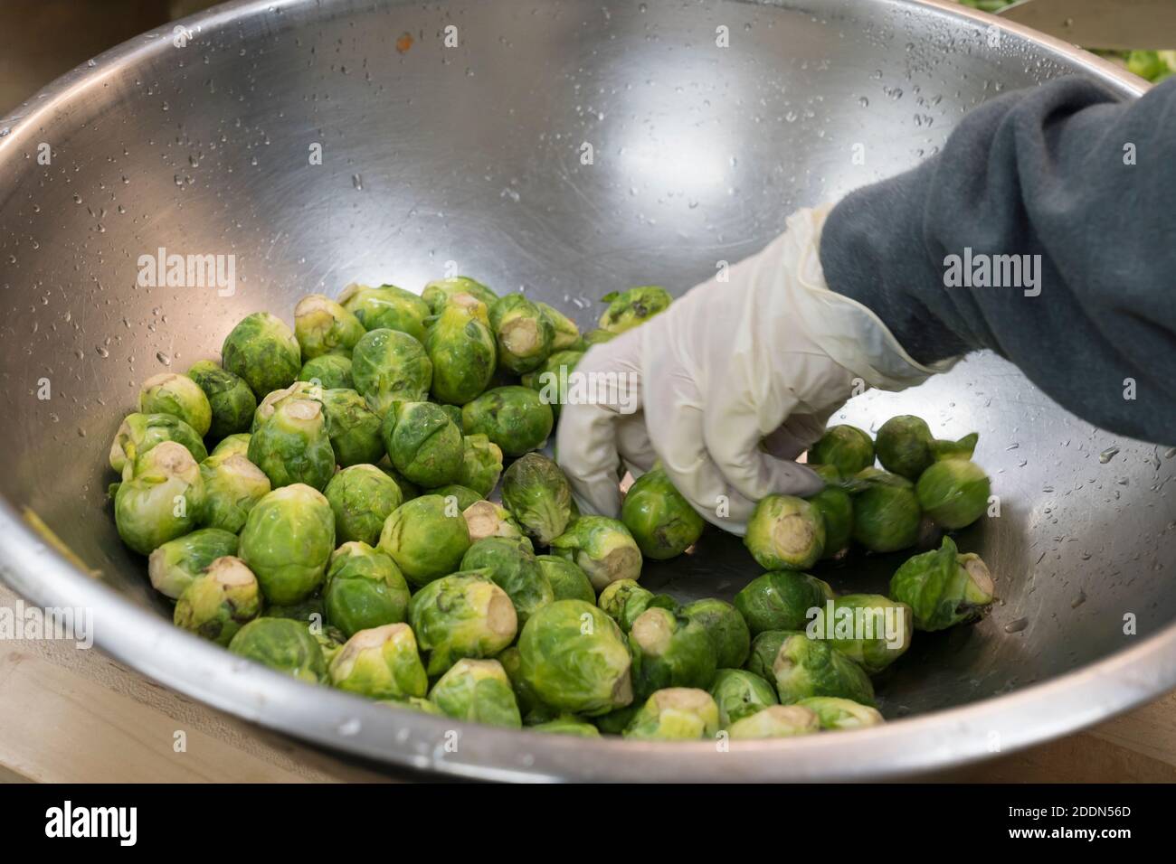 Victory heights seattle hi-res stock photography and images - Alamy