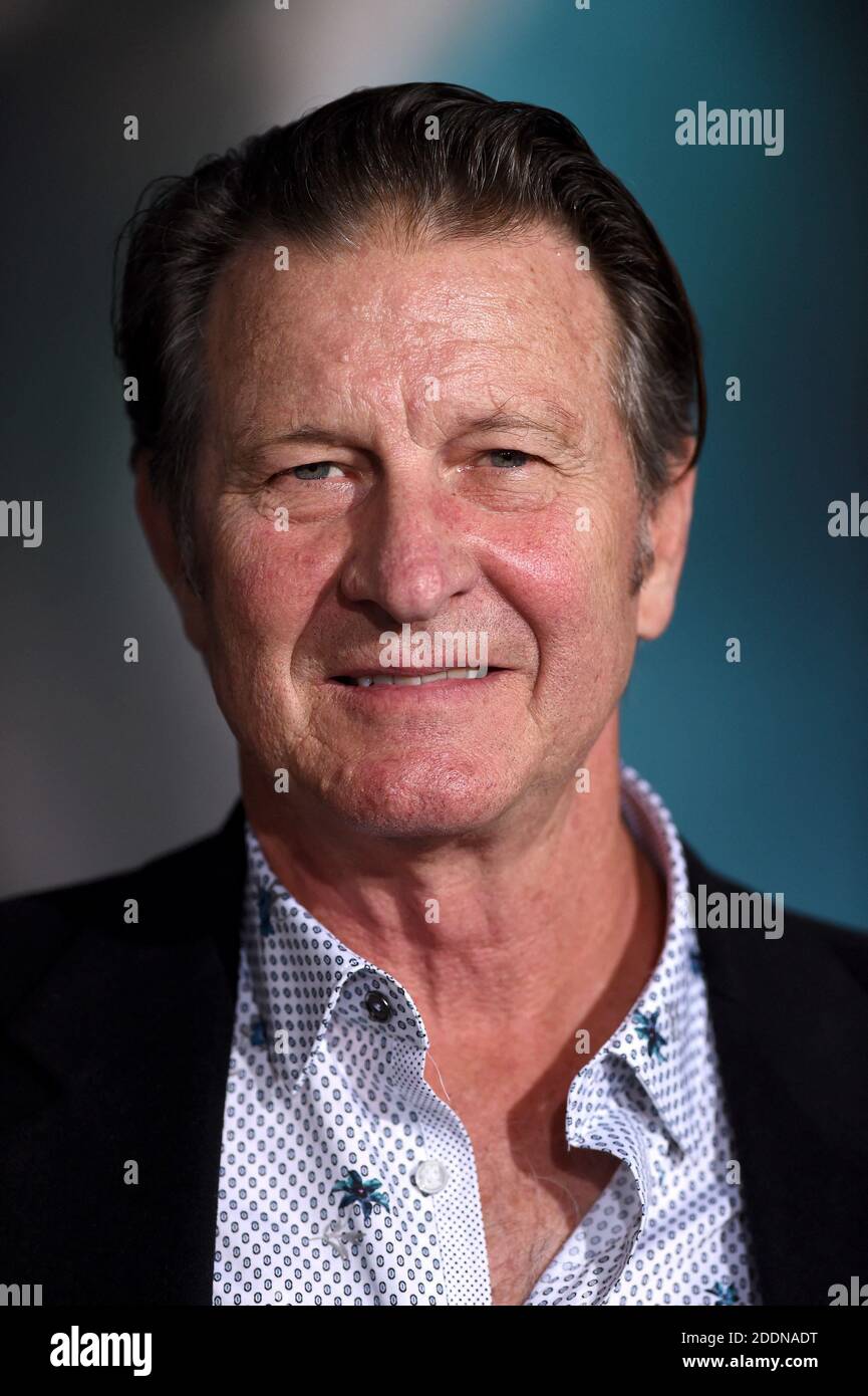 Brett Cullen attends the premiere of Warner Bros Pictures "Joker" on ...