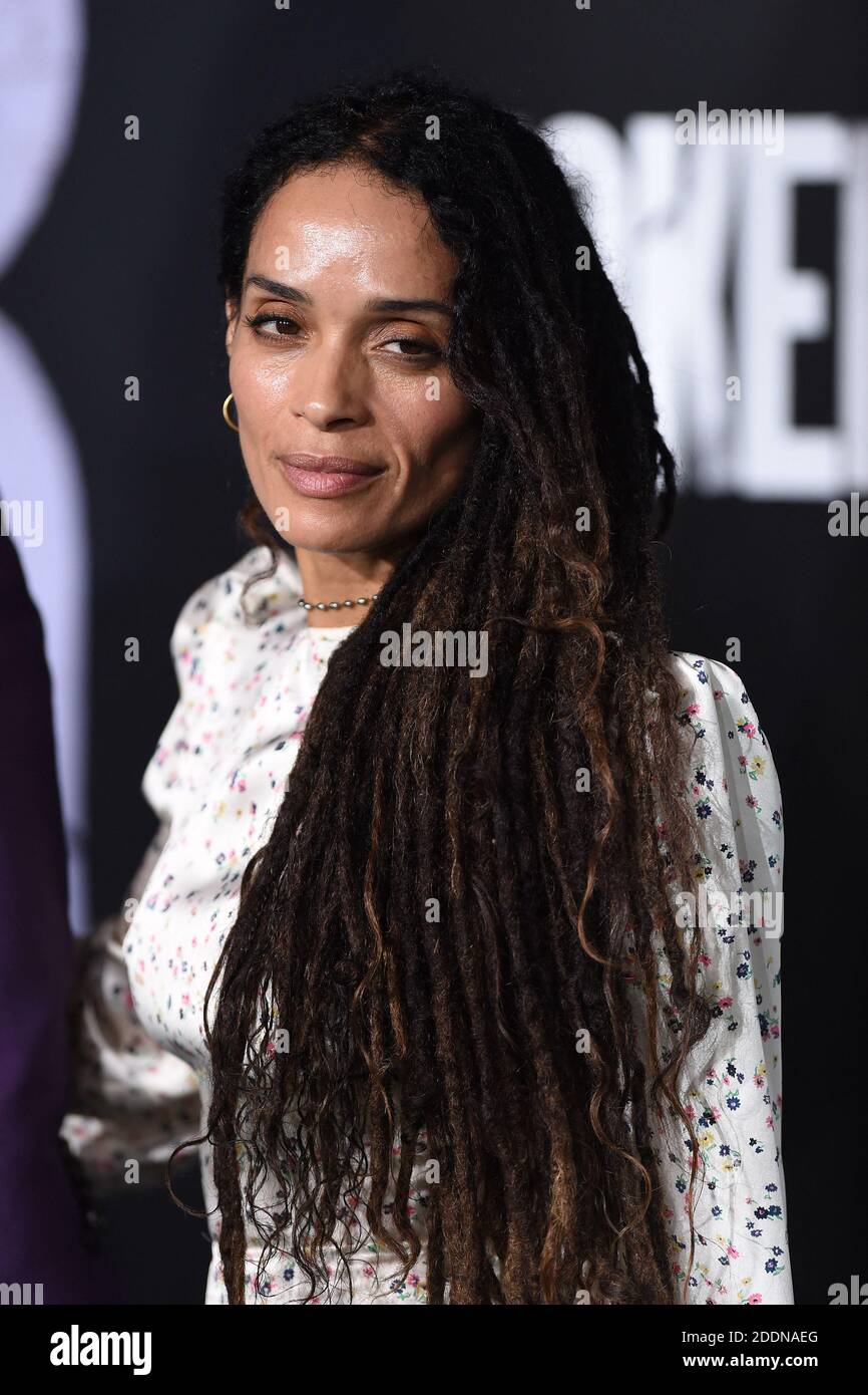 Lisa Bonet attends the premiere of Warner Bros Pictures "Joker" on ...