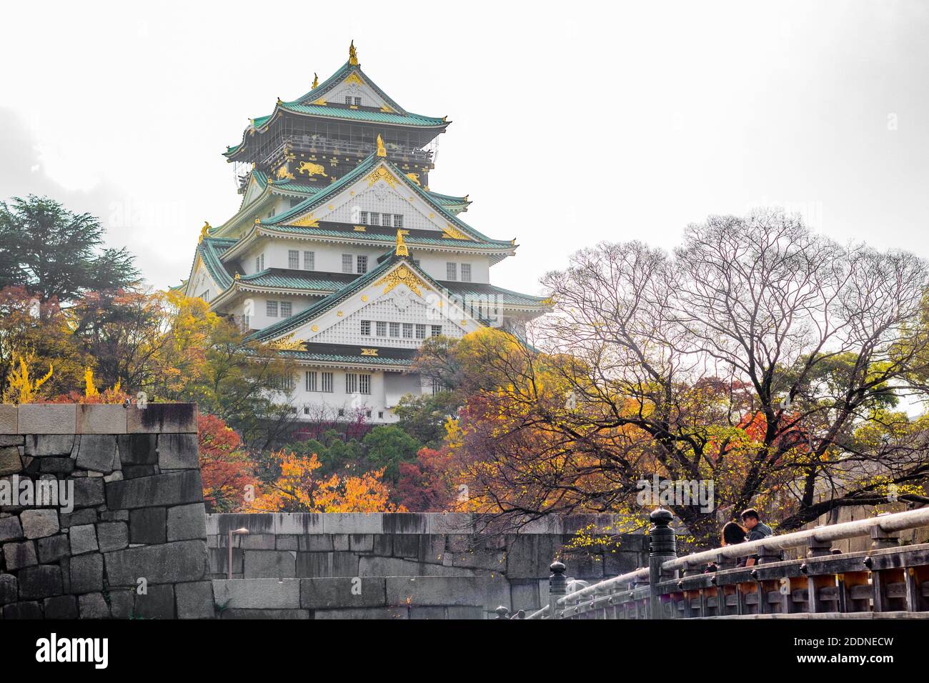 Fall season in deciduous hi-res stock photography and images - Alamy