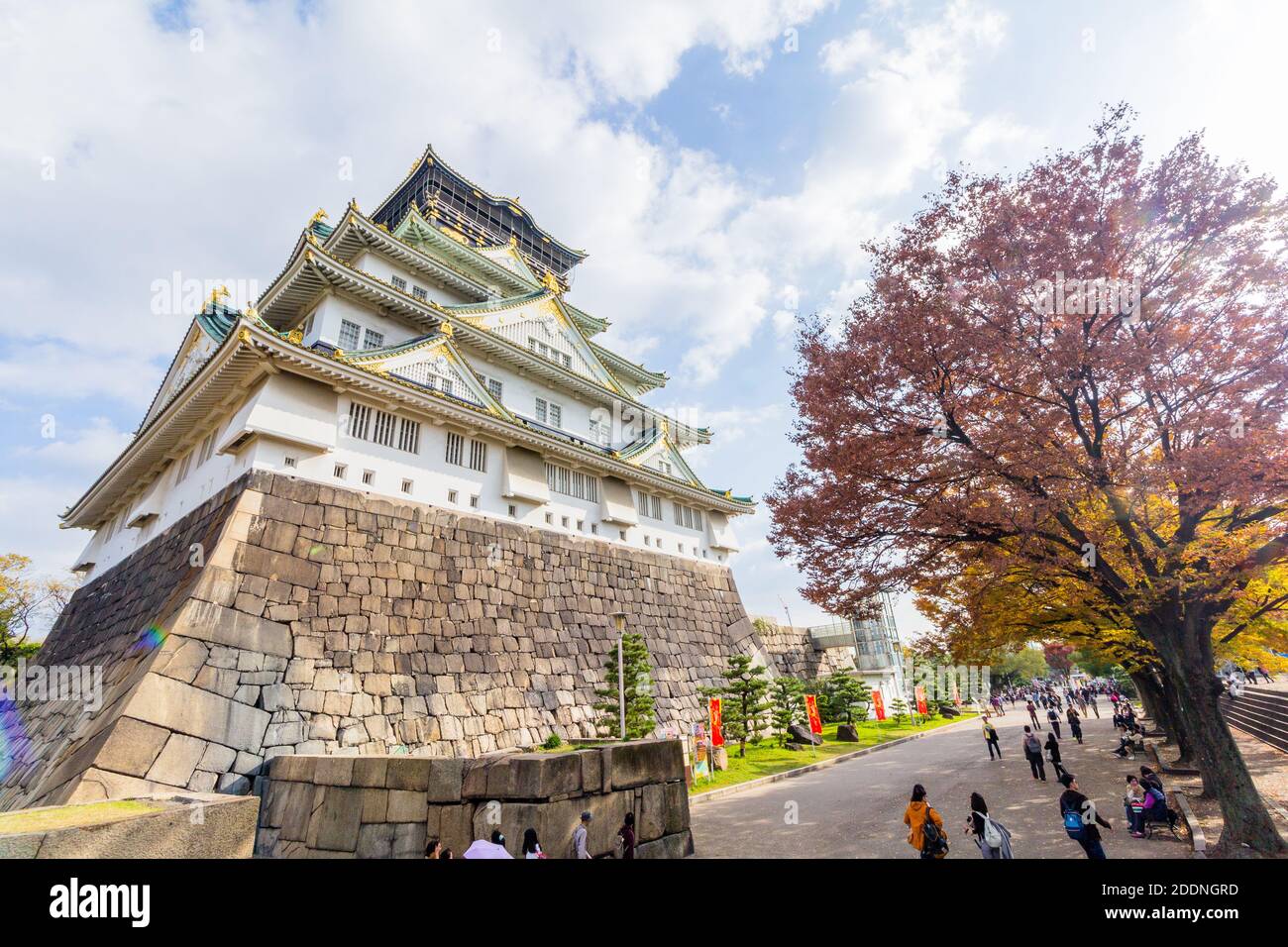 Fall season in deciduous hi-res stock photography and images - Alamy