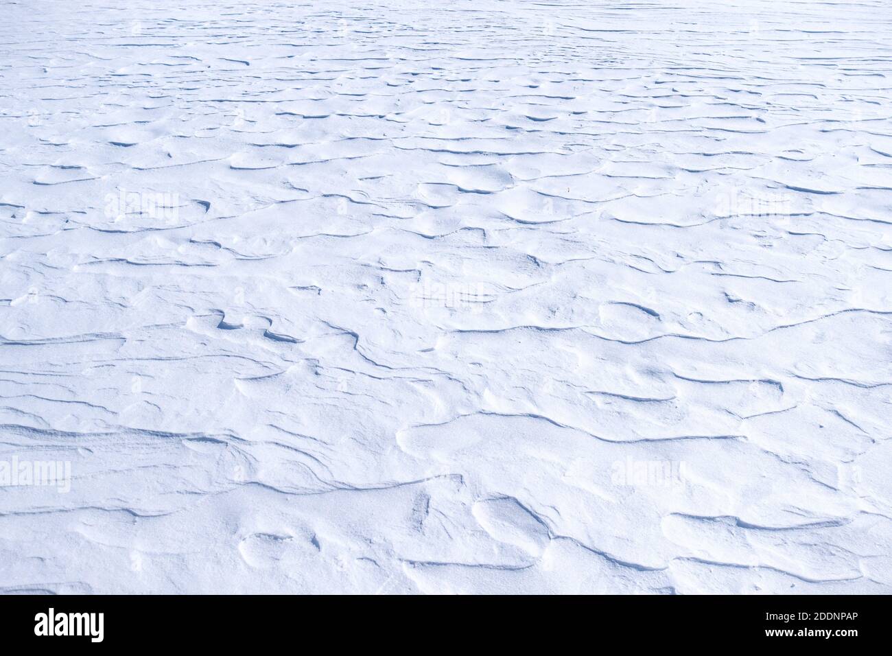 Background from snow shined with the sun. White snow texture Stock ...