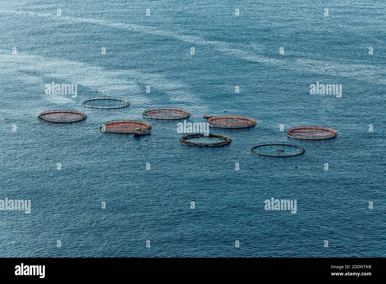 Drone view tuna farm rings hi-res stock photography and images - Alamy