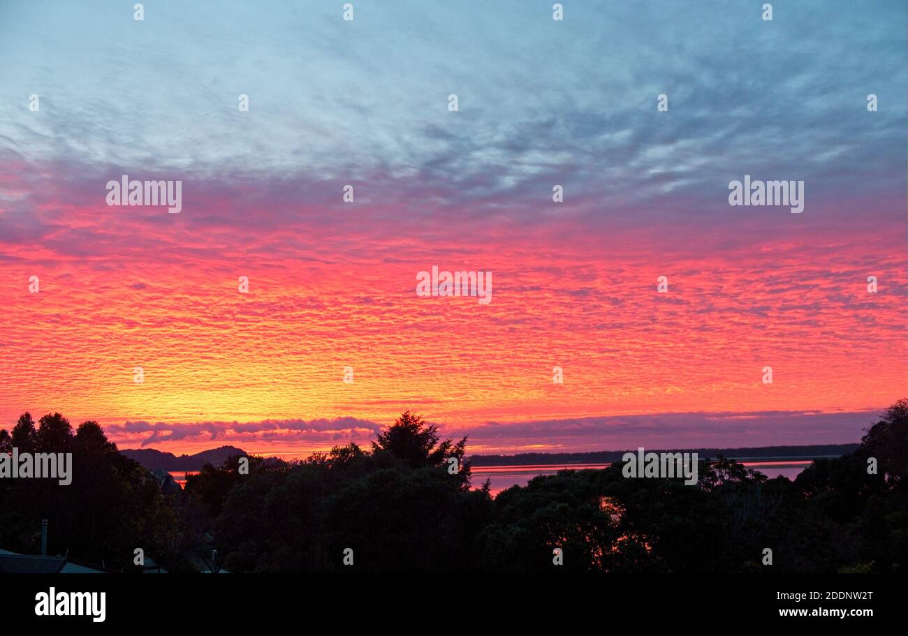 Stunning Sunset - Tauranga Harbour New Zealand Stock Photo - Alamy