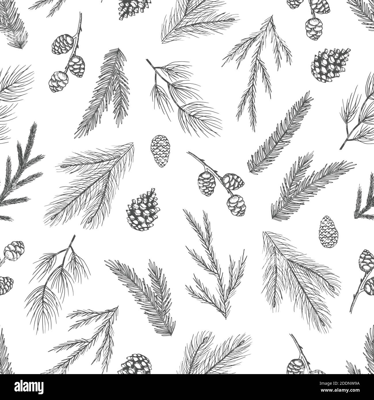 Seamless pattern with hand drawn cones,xmas tree. Christmas vector ...