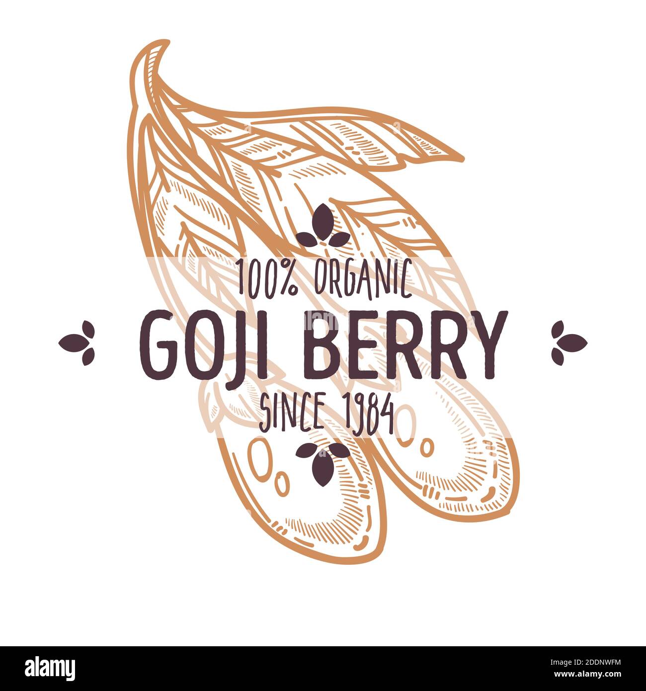 Goji berry plant Stock Vector Images - Alamy
