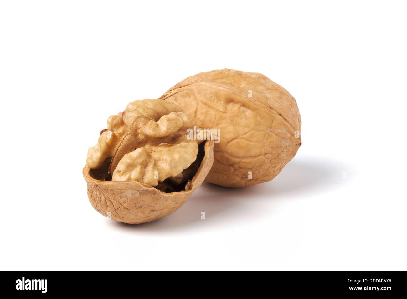 Walnuts isolated on white. Walnut in a nutshell Stock Photo - Alamy