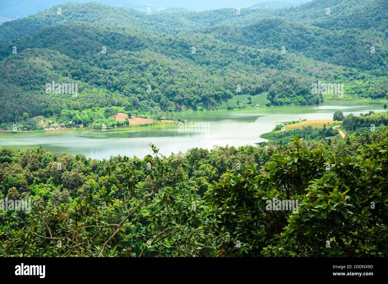 nature view in Chiang Rai,Thailand Stock Photo - Alamy