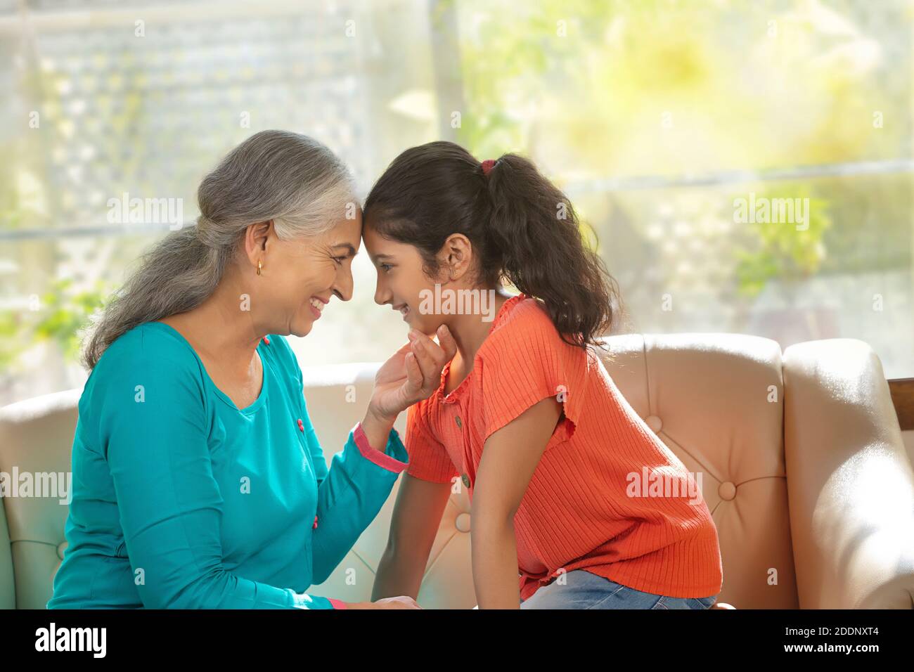 Grand daughter and grand mother touching foreheads showing affection in ...