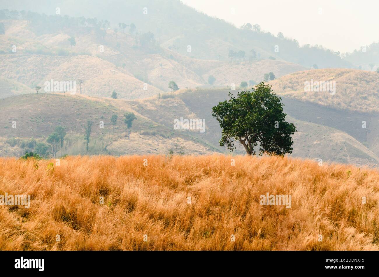 Dry summer pastures mountains Stock Photo - Alamy