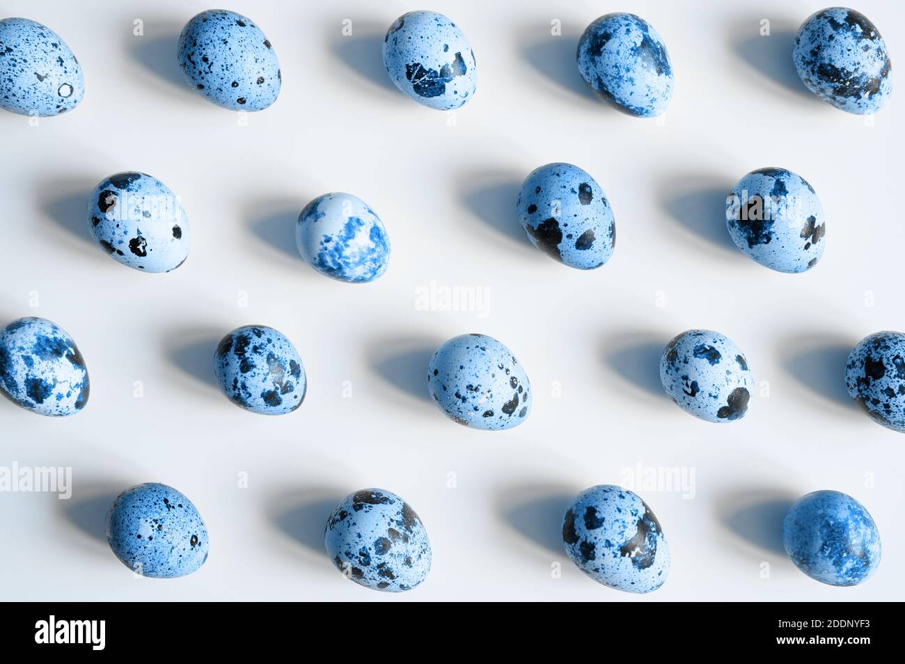 quail eggs on a white background. a regular pattern. toned classic blue ...