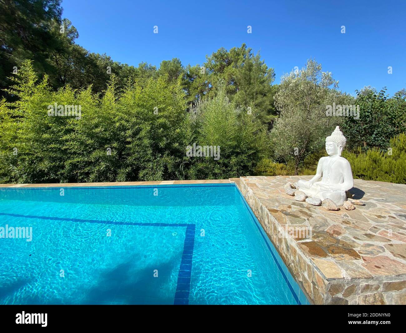 Green pool stone hi-res stock photography and images - Alamy