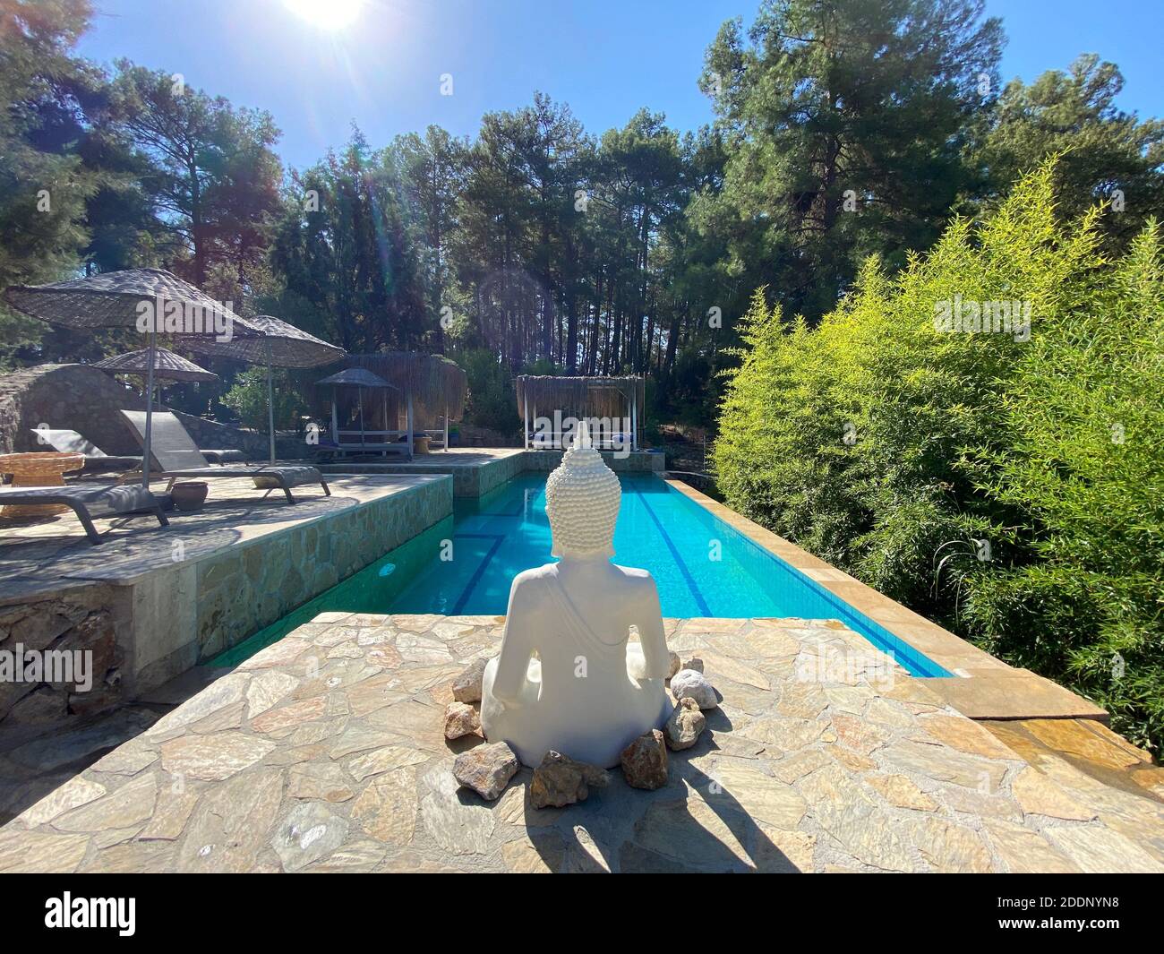 Cosy silent pool side with Buddha statue and grown trees. Swimming pool ...