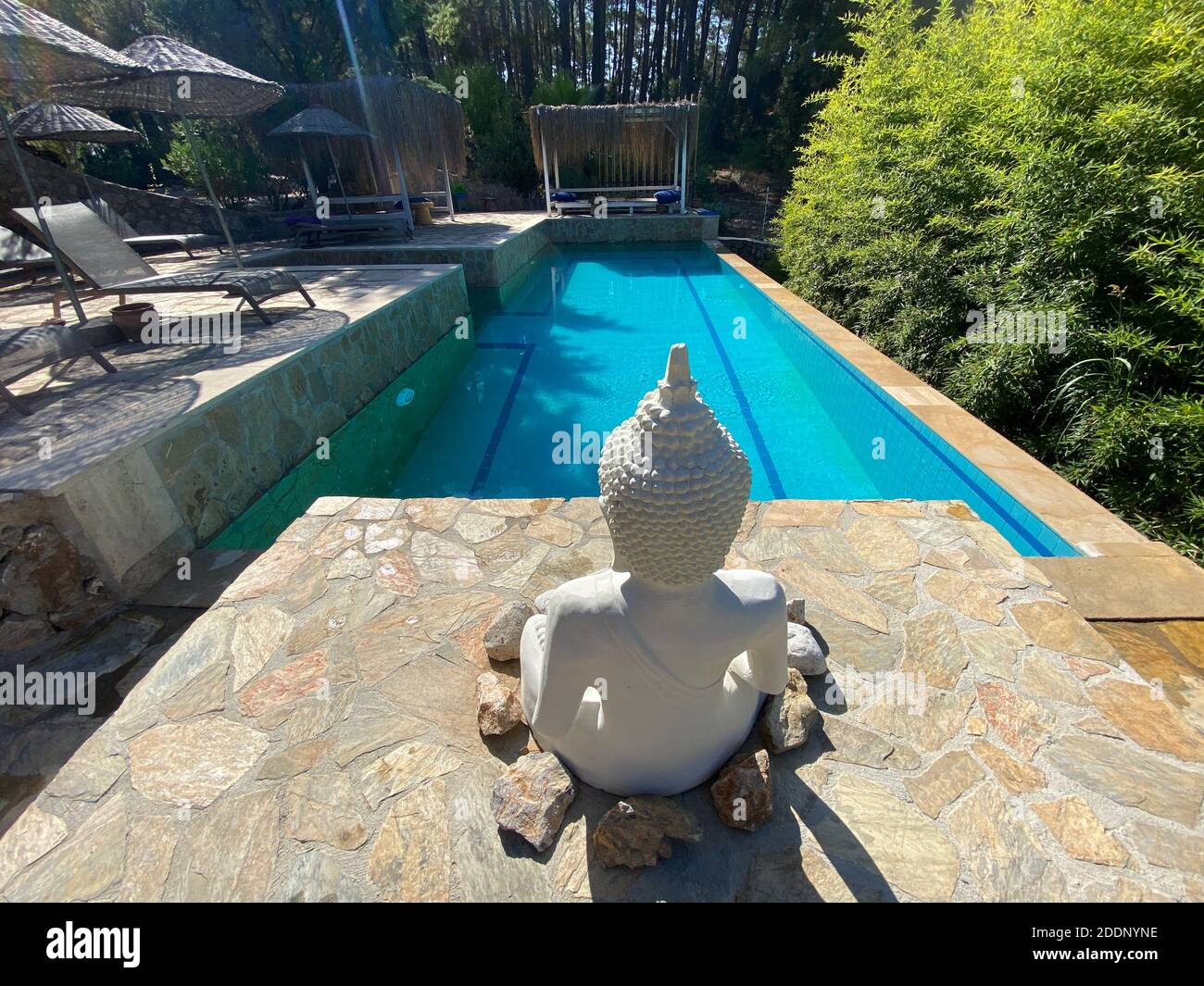 Cosy silent pool side with Buddha statue and grown trees. Swimming pool ...