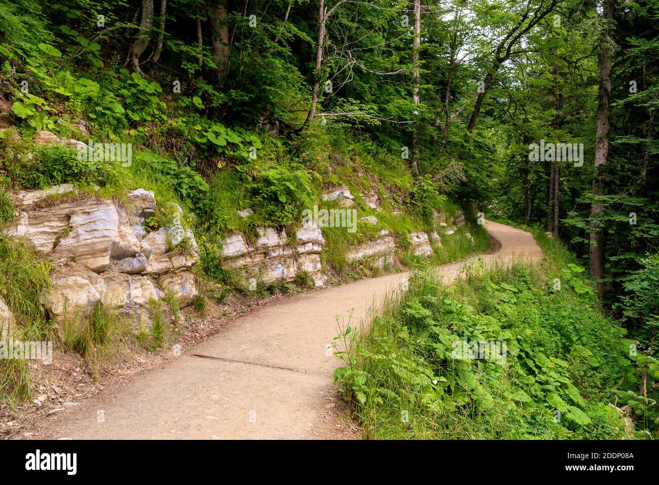 Steep Slope Road Side High Resolution Stock Photography and Images - Alamy