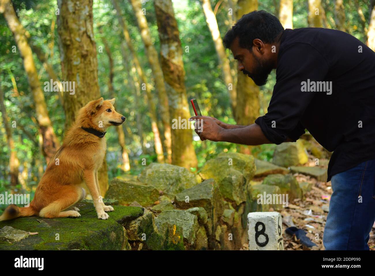 Cute dog posing to Camera Stock Photo - Alamy