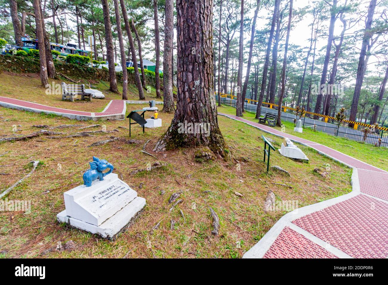 A pathway inside the Cemetery of Negativism, a popular tourist ...