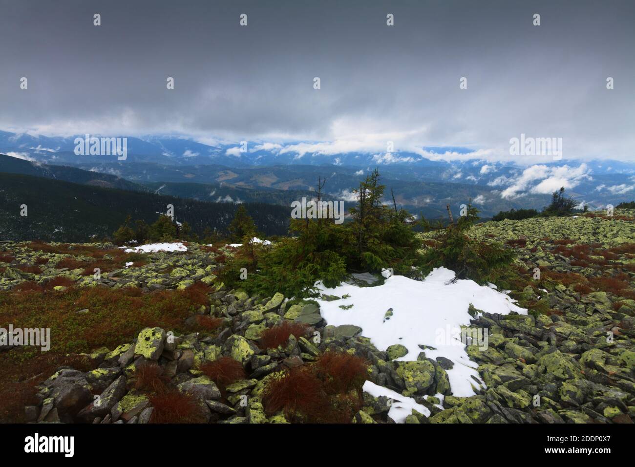 Rocky terrain with patches of lush greenery and snow under dramatic ...
