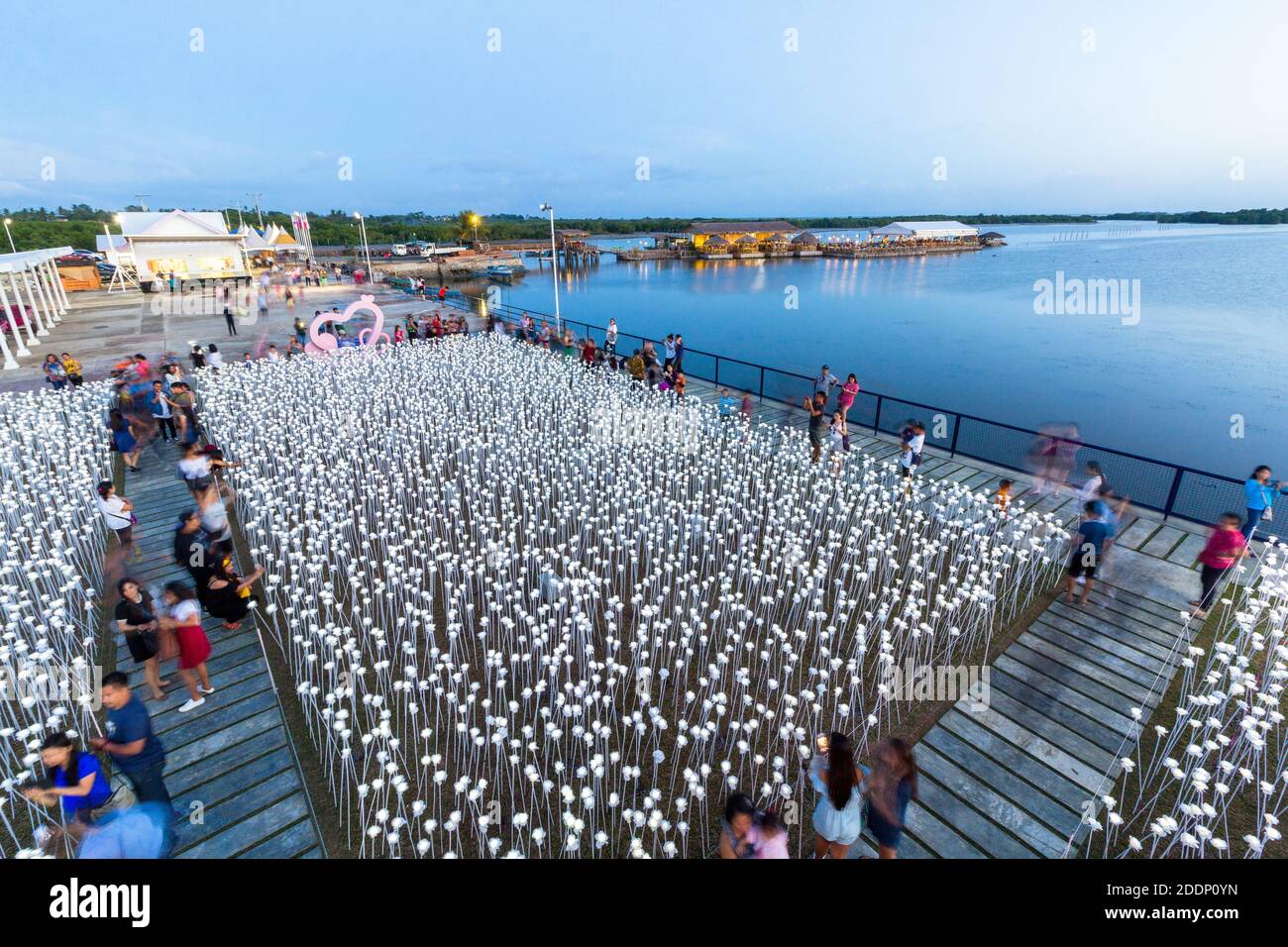 10000 roses cebu hi-res stock photography and images - Alamy