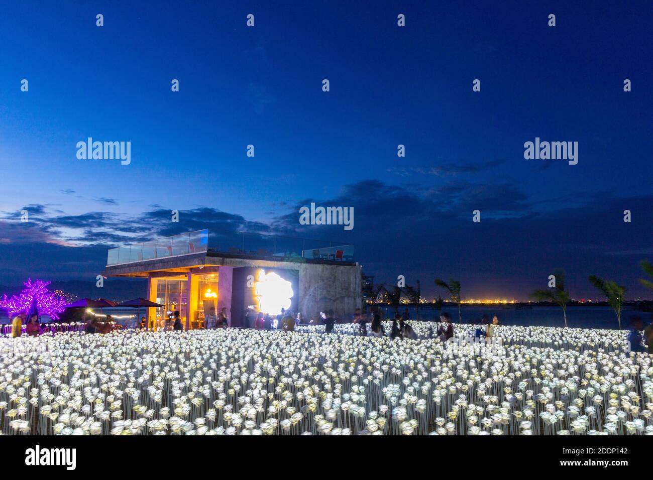 The 10000 Roses Cafe in Cebu, Philippines Stock Photo - Alamy