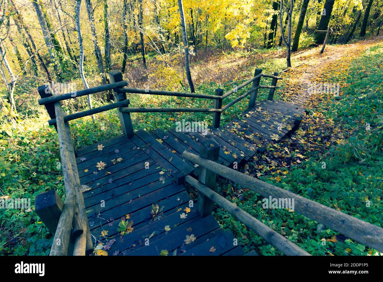 Walking trail in the national park in autumn Stock Photo - Alamy
