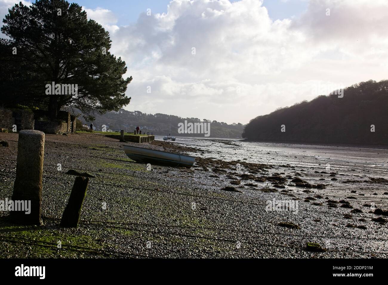 Looking downstream from Devoran quay at low tide, Cornwall, England, UK ...