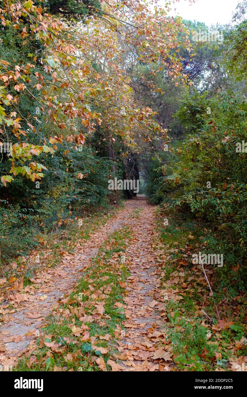 Rural pathway hi-res stock photography and images - Alamy