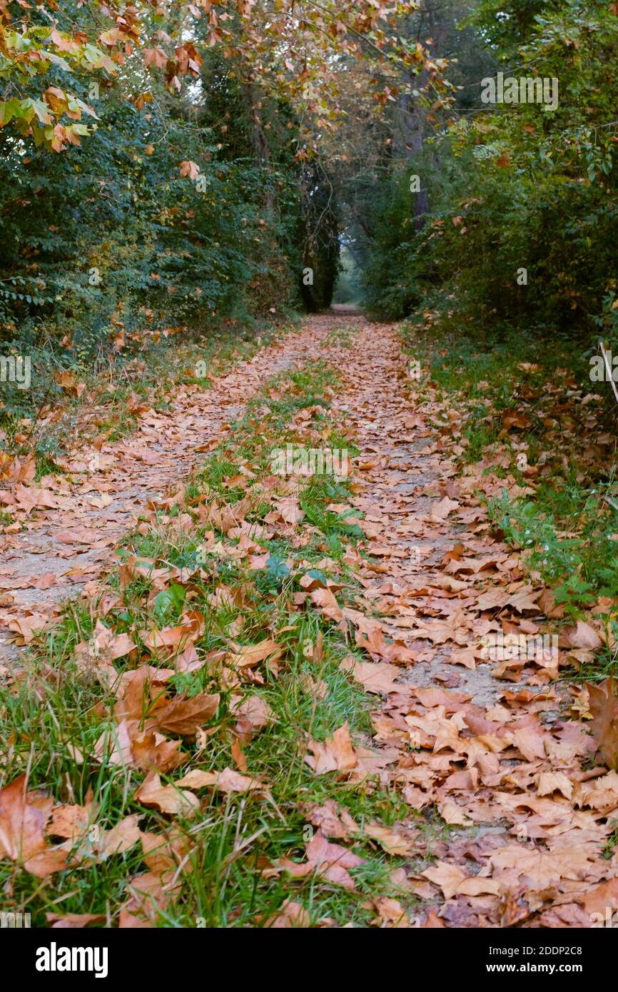 Rural pathway hi-res stock photography and images - Alamy