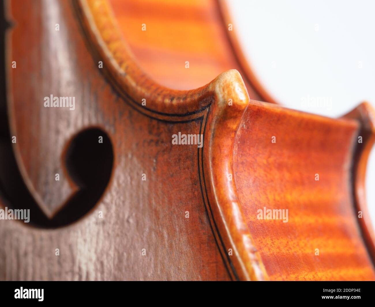 Contemporary wooden hand made violin iand details solated on white ...