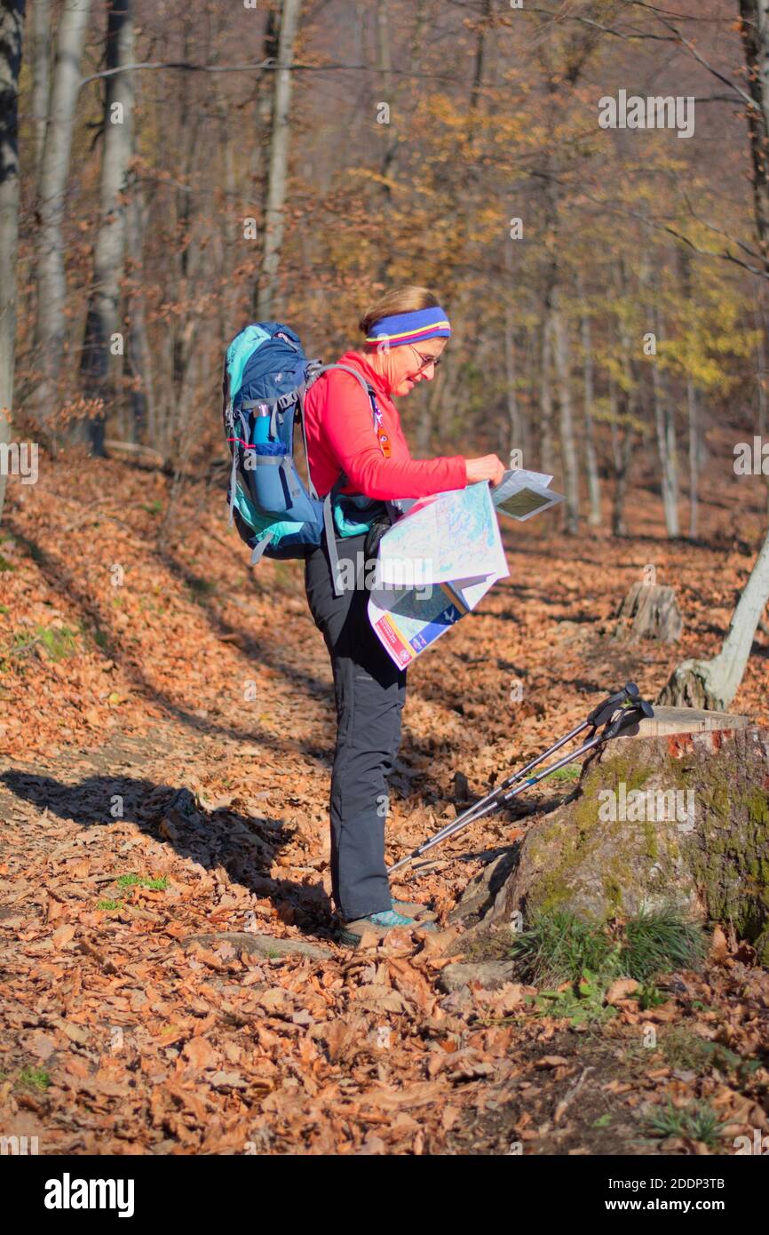 Map of leaves hi-res stock photography and images - Alamy