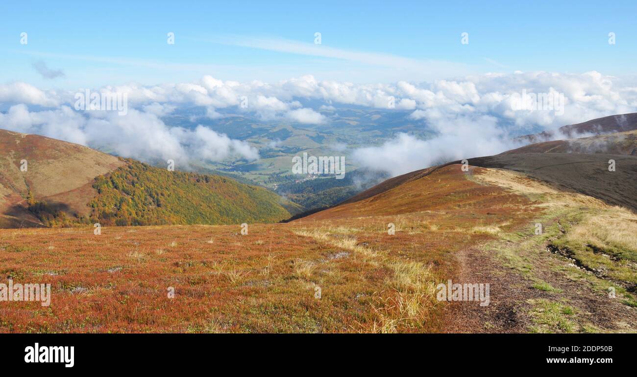 Beautiful autumn mountain ridge landscape with the grass and trees of ...