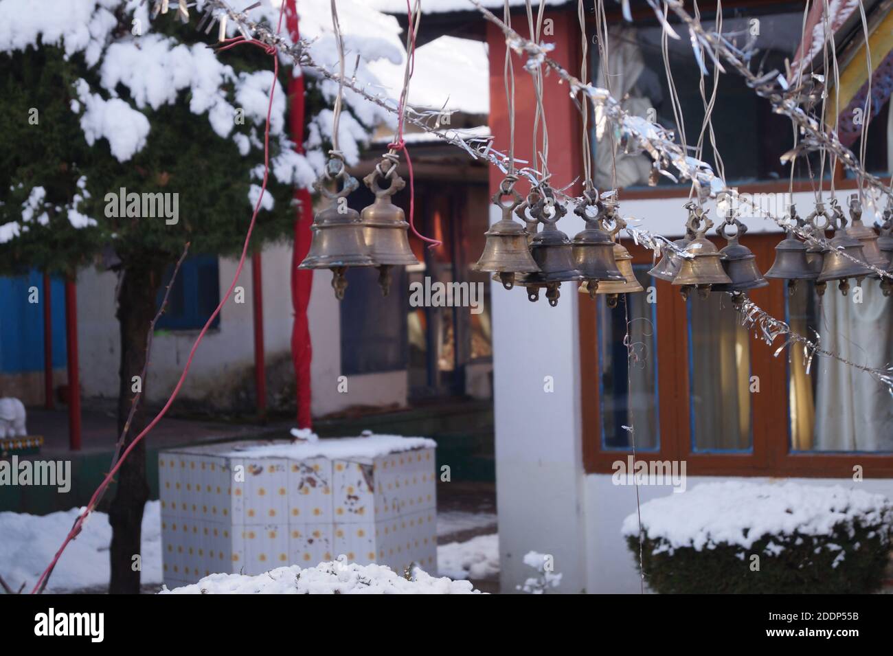 Snow beauty at 28000 feet, Auli, Uttarakhand, India Stock Photo - Alamy