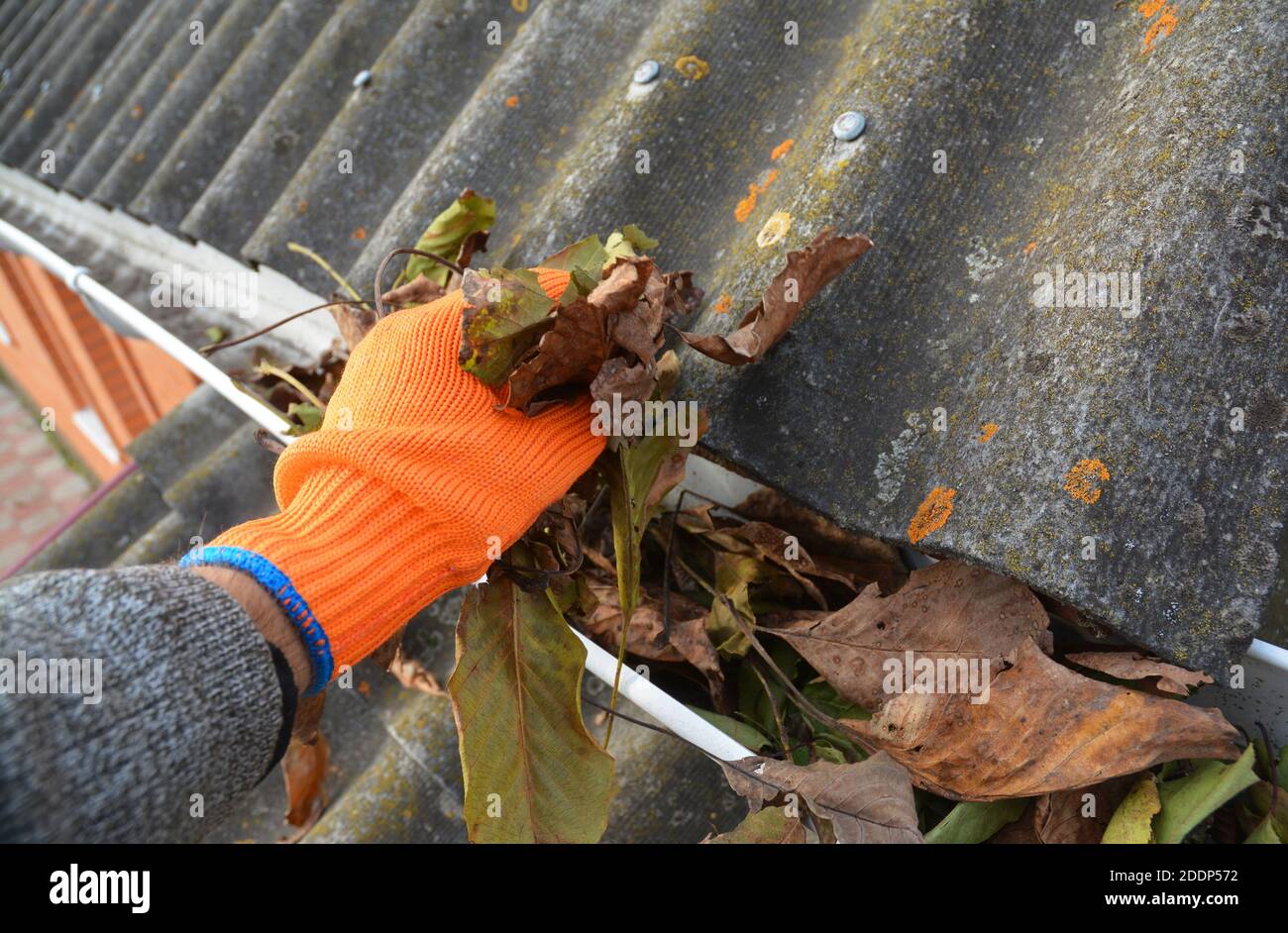 A man in gloves is cleaning a blocked rain gutter attached to the ...