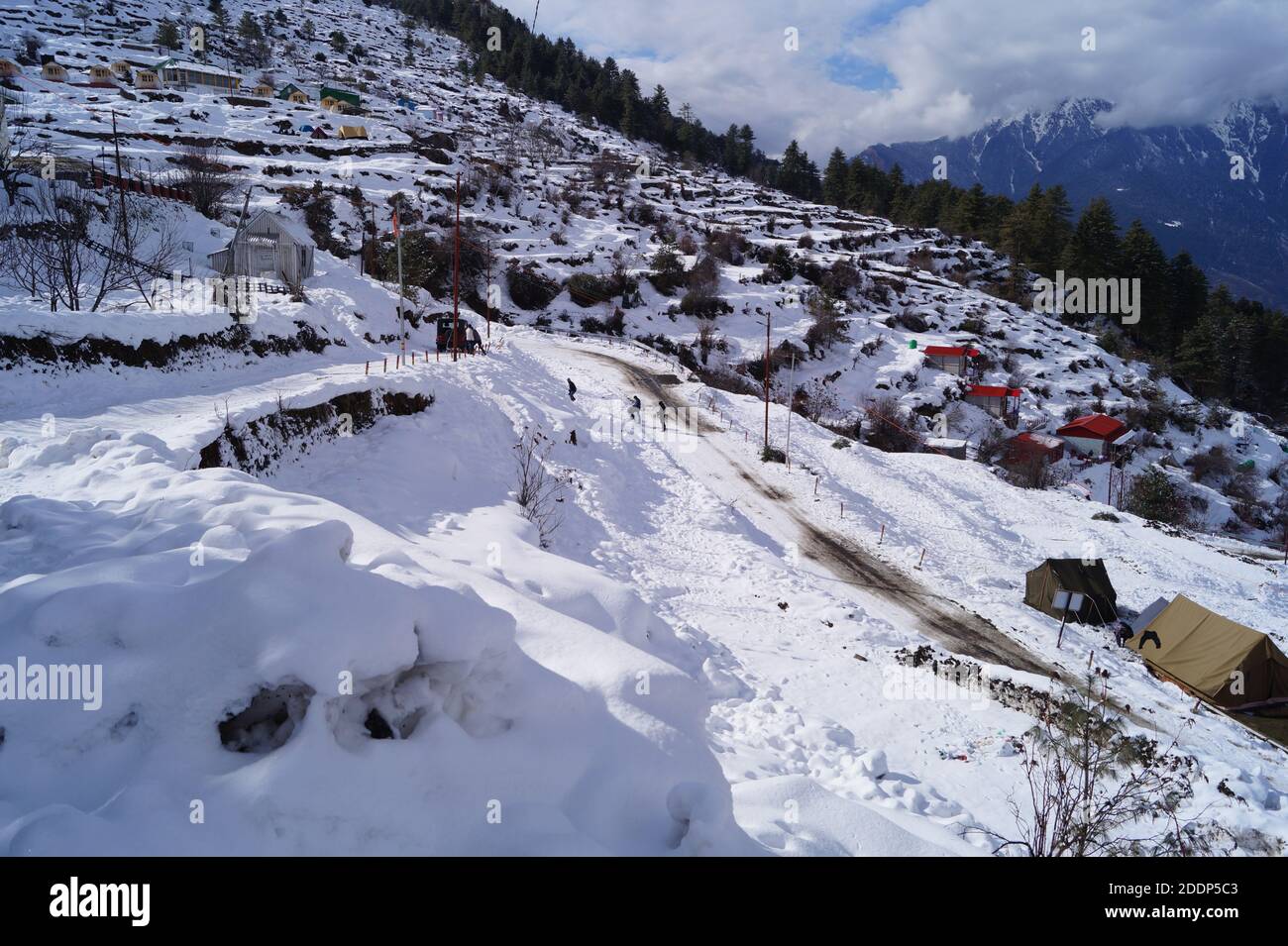 Snow beauty at 28000 feet, Auli, Uttarakhand, India Stock Photo - Alamy