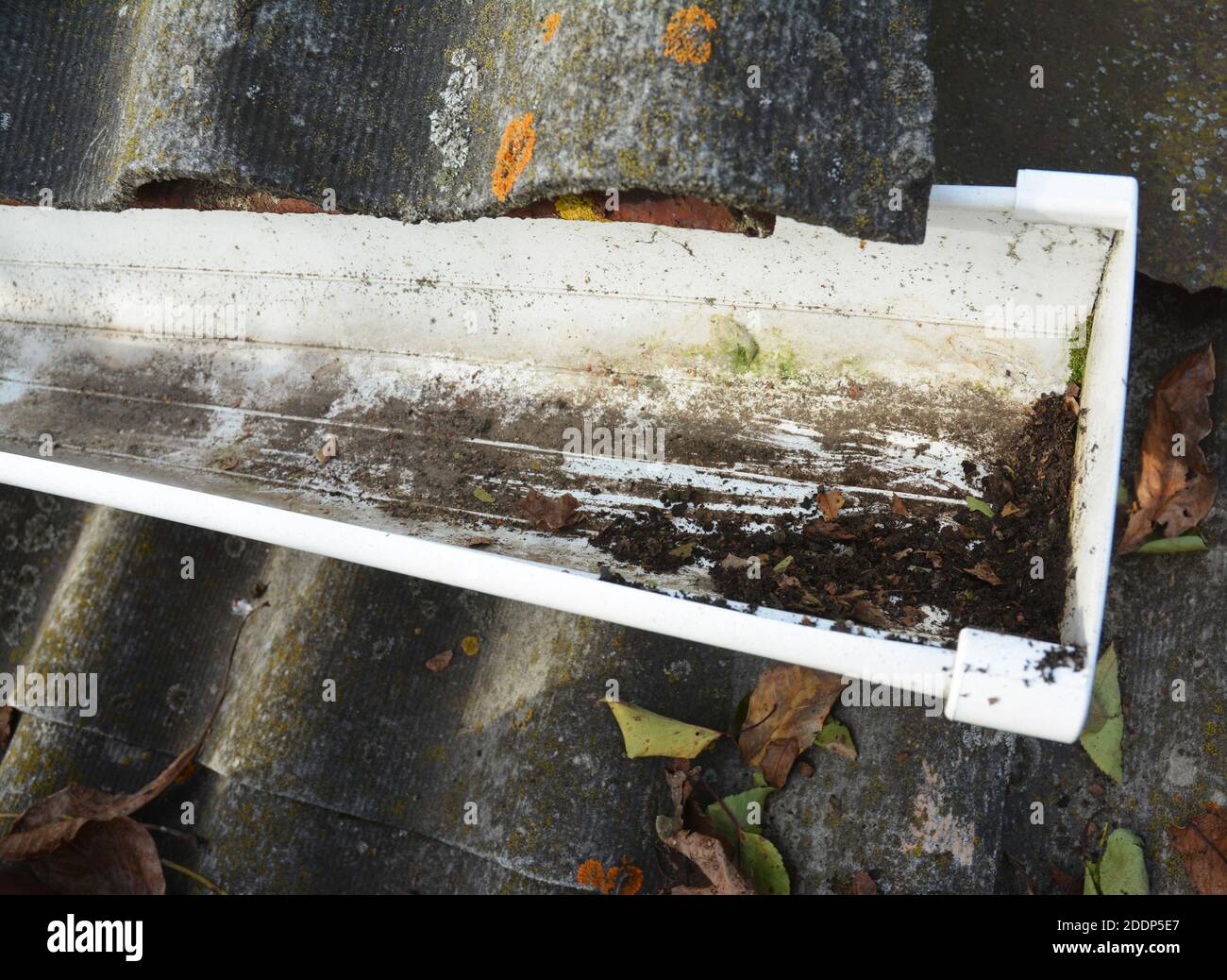 A rain gutter that has been blocked with dirt, debris and leaves is ...