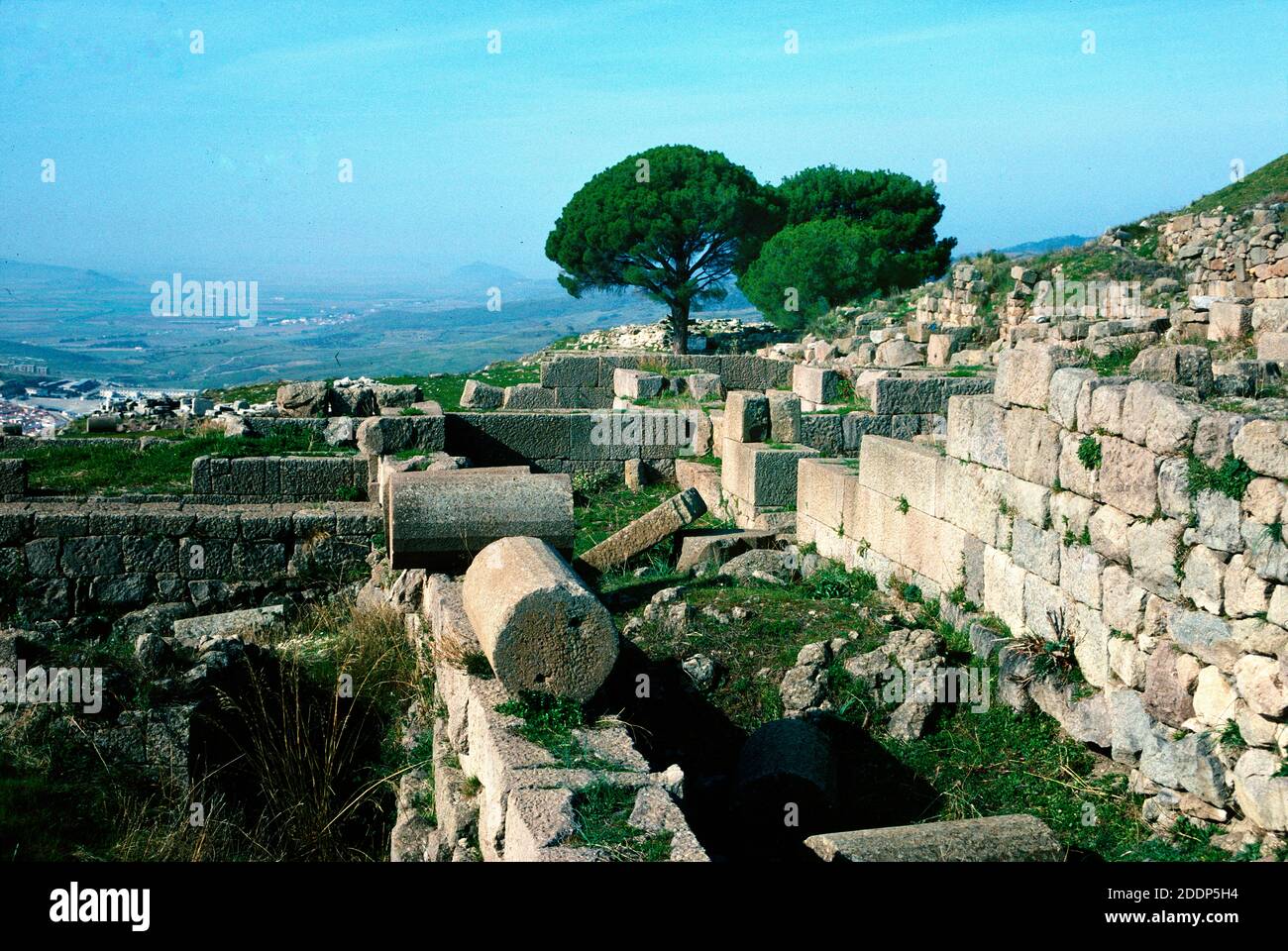 Heroon and (in distance) Base of the Ruined Altar of Zeus & Athena ...