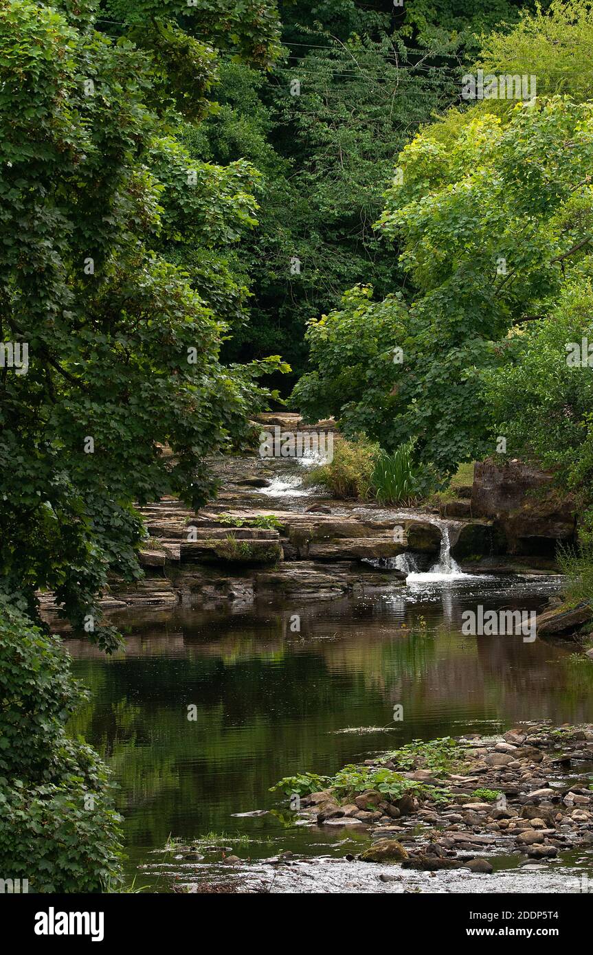 Devil's water northumberland hi-res stock photography and images - Alamy