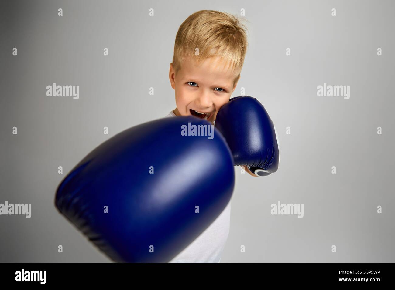 little boxing fighter boy in blue boxer gloves fighting Stock Photo - Alamy