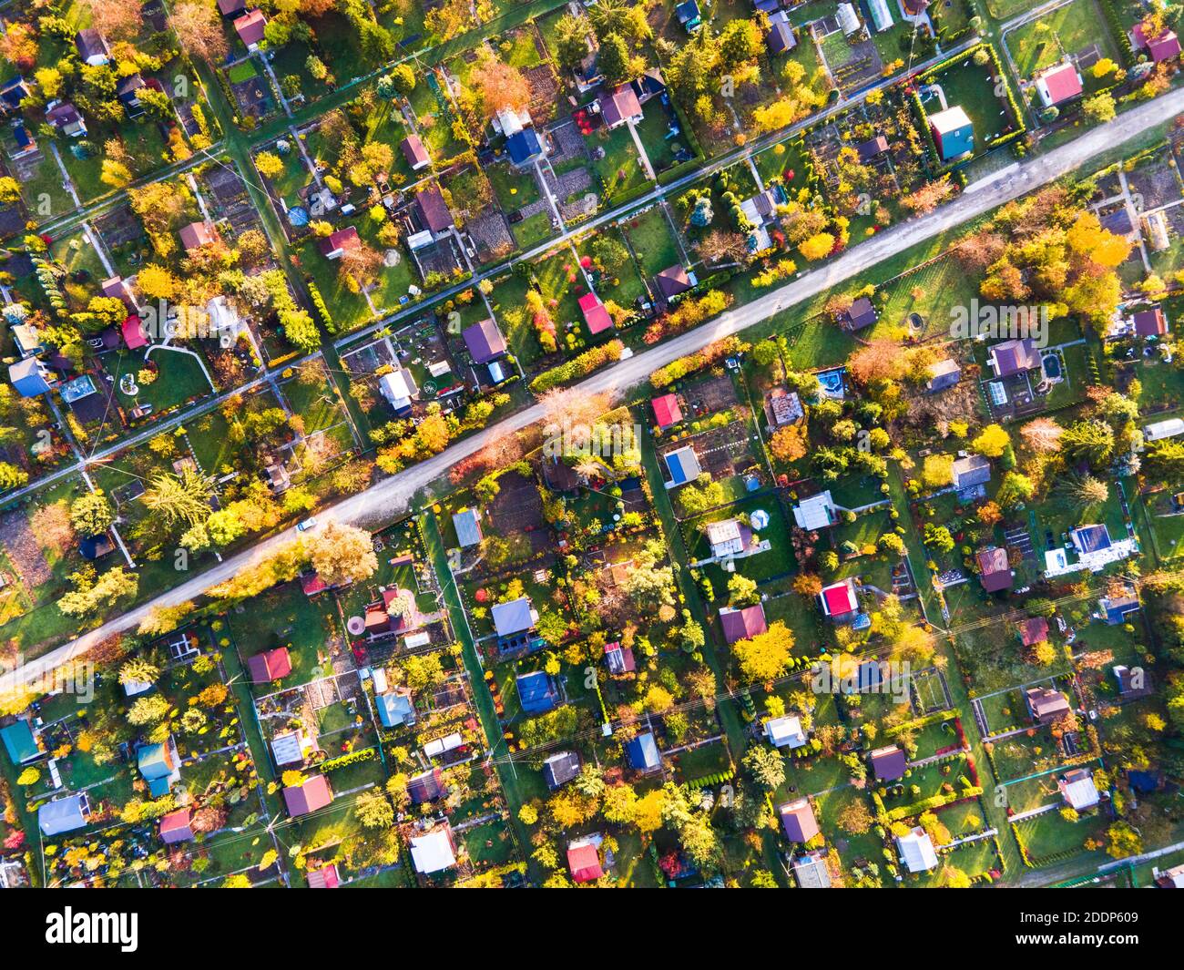 Abstract Pattern of Plot Gardens in Urban Area. Colorful Foliage in ...
