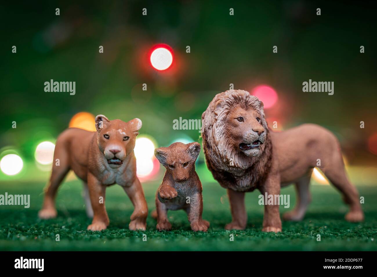 Lion Protecting Family
