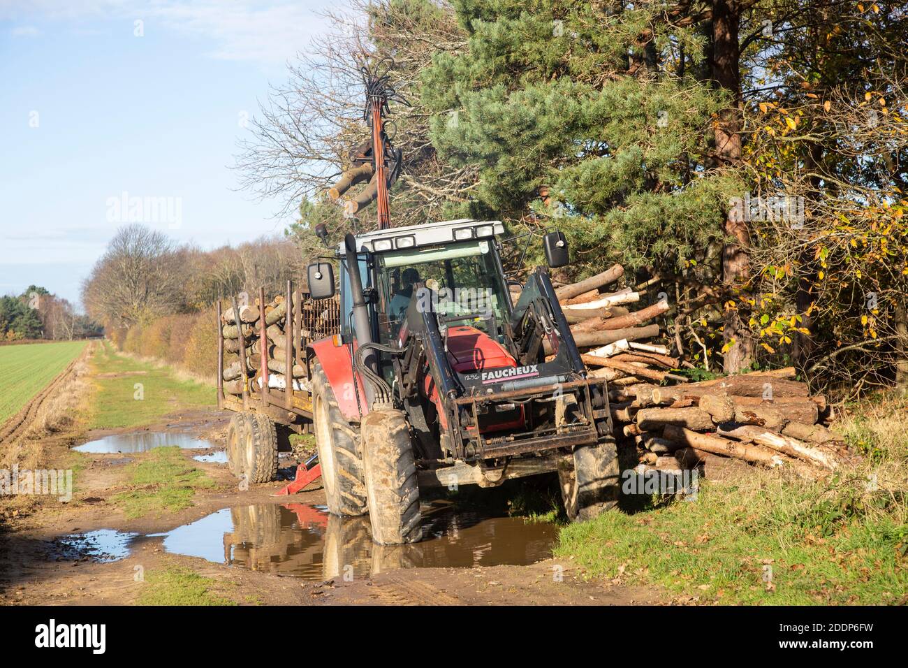 Faucheux tractor using grabber to load logs from woodland, Suffolk ...
