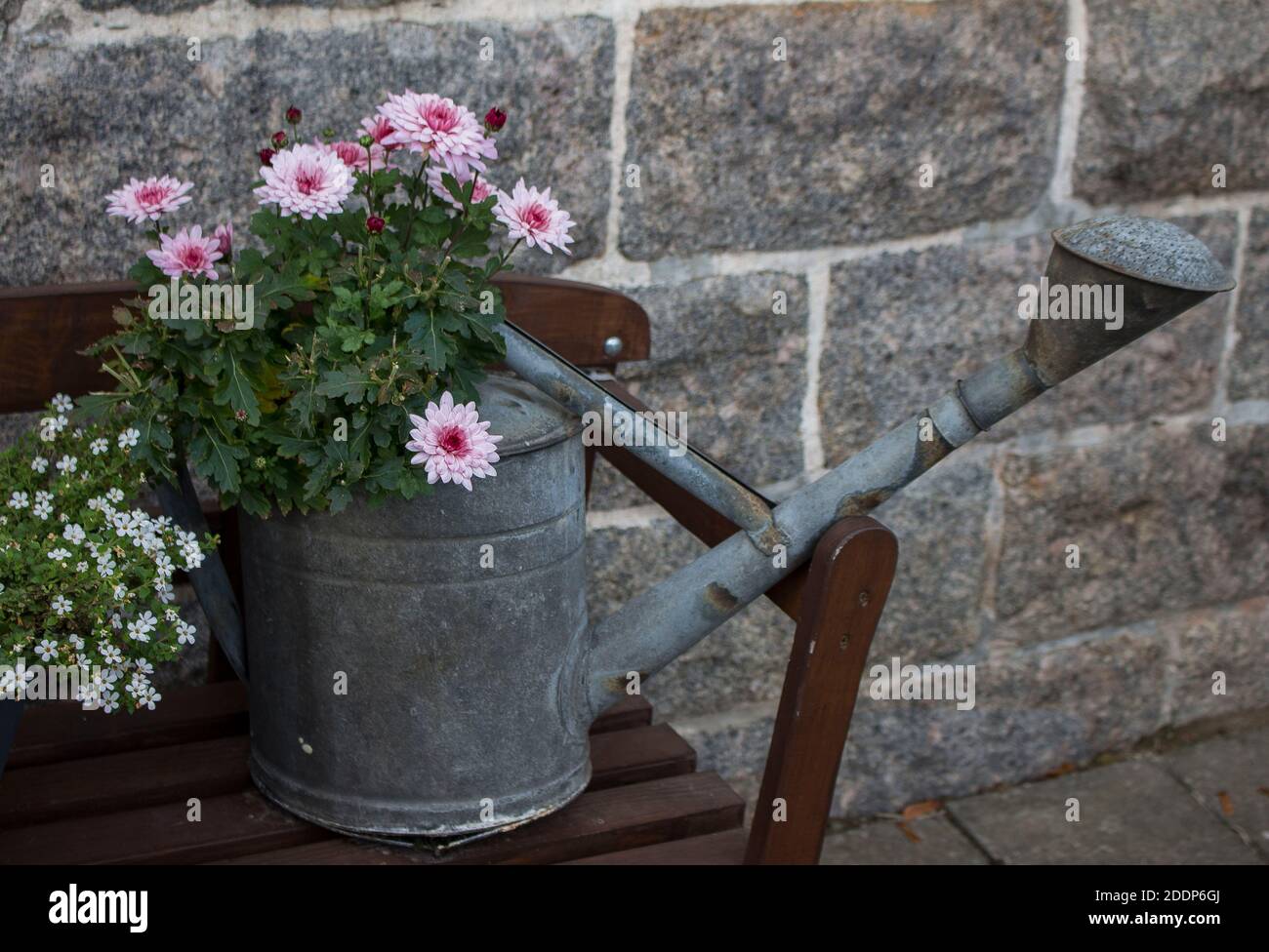 Waterin hi-res stock photography and images - Alamy