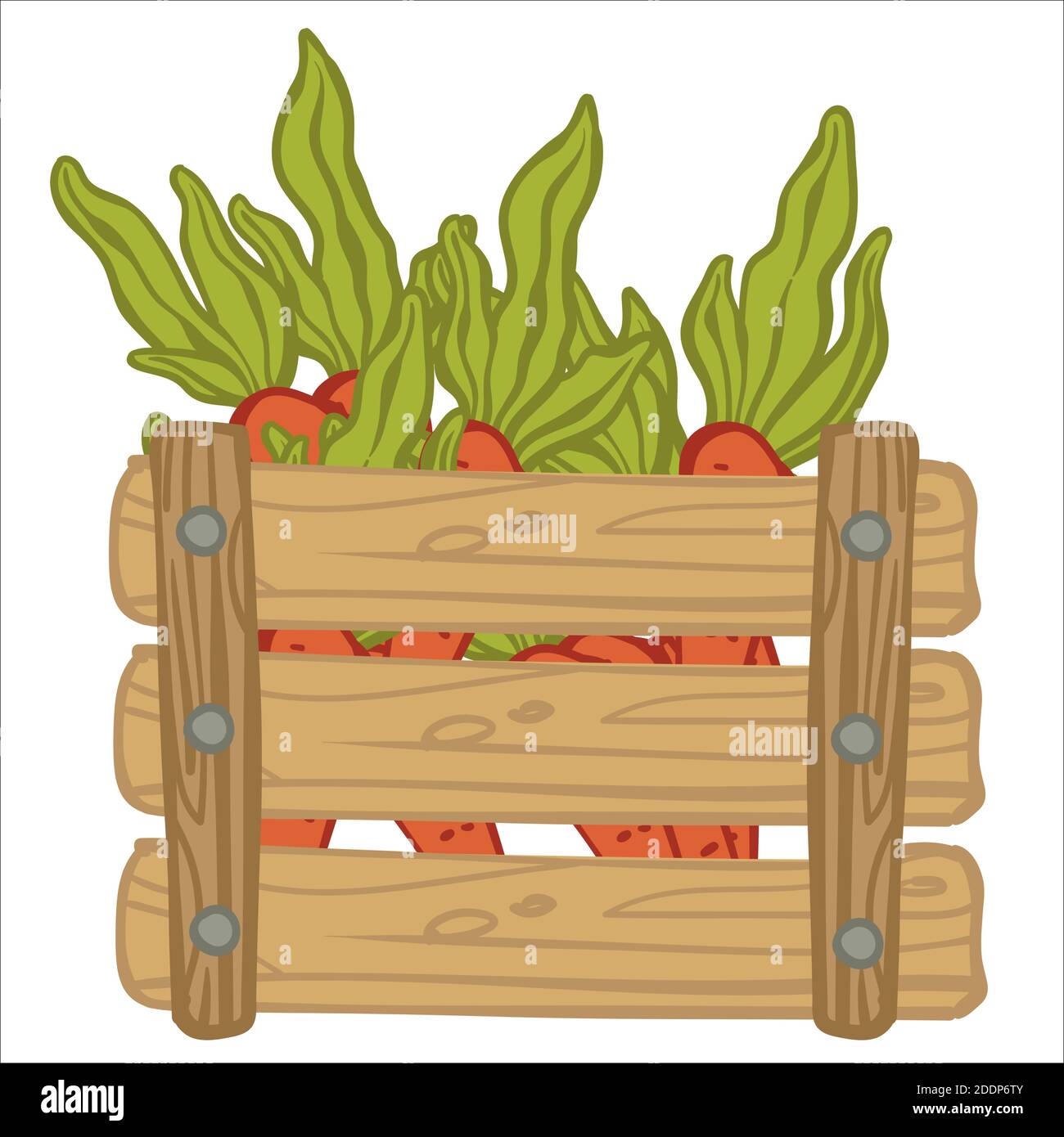 Carrots with leaves in wooden rustic basket vector Stock Vector Image ...