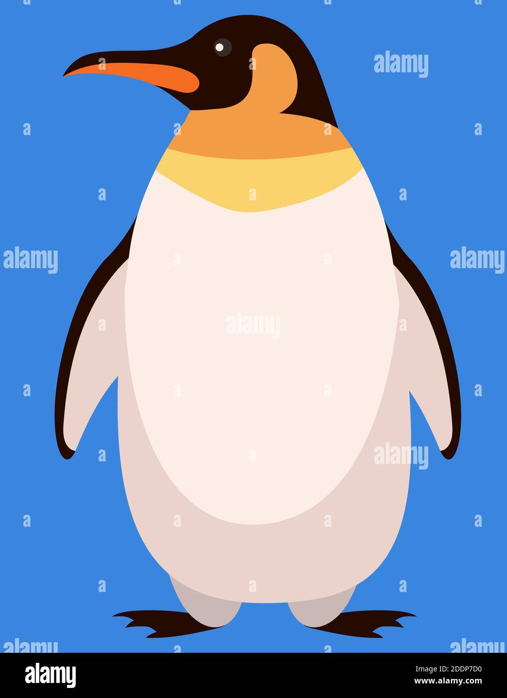 Penguin front view. Arctic animal in cartoon style Stock Vector Image ...